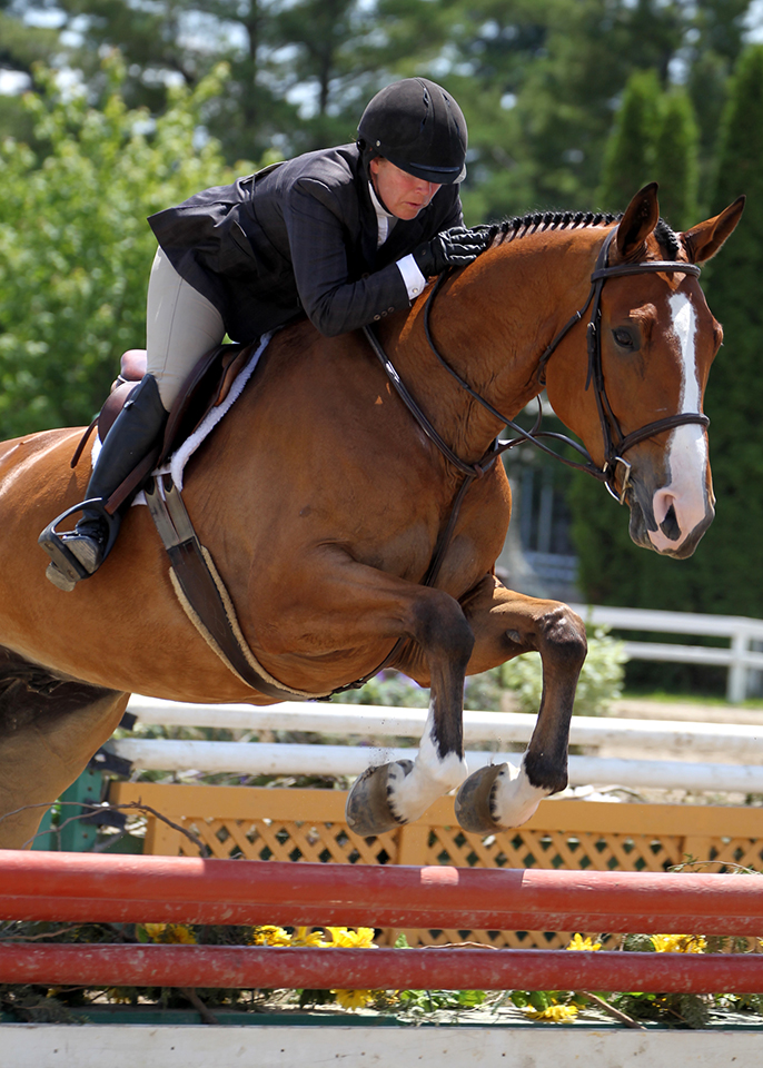 Centre équestre et équitation classique Mirabel, Québec | Photos