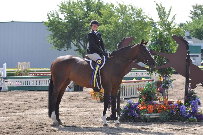 Centre équestre et équitation classique Mirabel, Québec | Photos