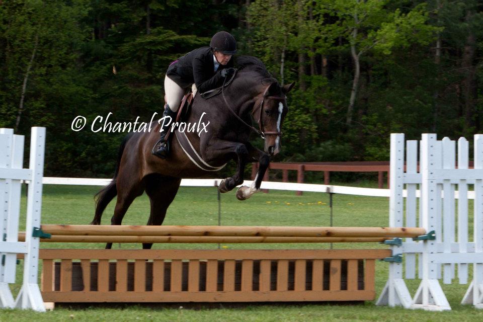 Centre équestre et équitation classique Mirabel, Québec | Photos