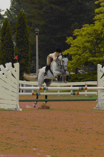 Centre équestre et équitation classique Mirabel, Québec | Photos