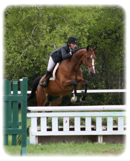 Centre équestre et équitation classique Mirabel, Québec | Photos