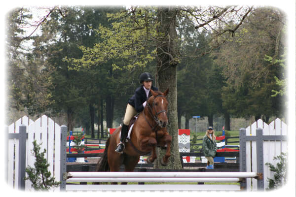 Centre équestre et équitation classique Mirabel, Québec | Photos