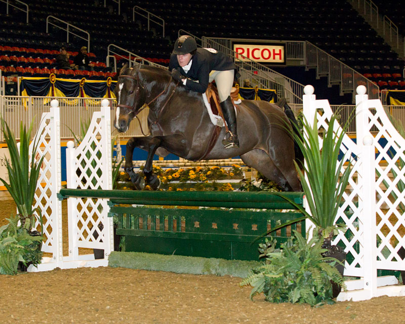 Centre équestre et équitation classique Mirabel, Québec | Photos